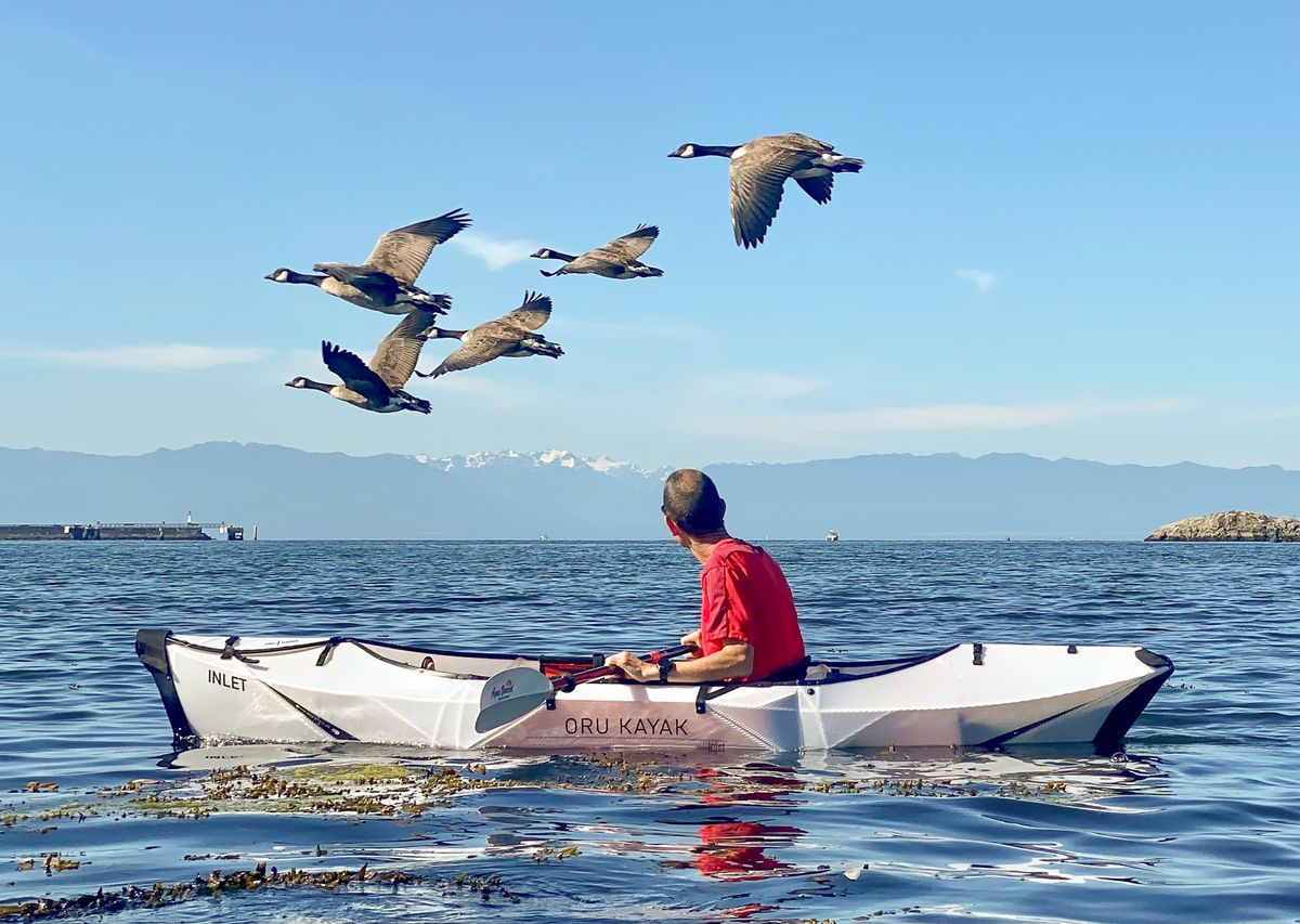 Les Activités en Plein Air / Outdoor Activities for Kids : Éco dans les ...